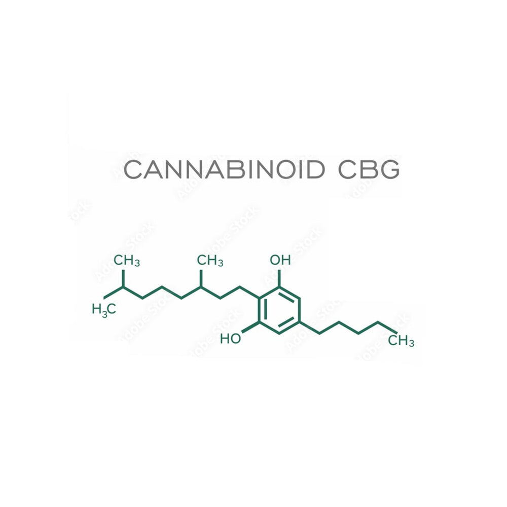 CannaTech Journal – CannaTech 公式ストア